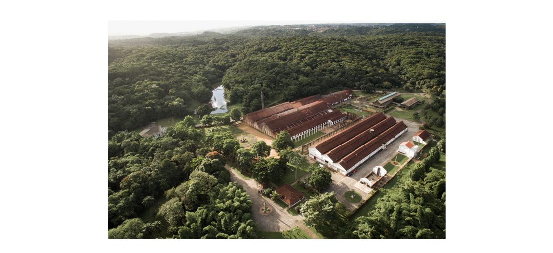 masterplan instituto francisco brennand, 2021-23 - Metro Arquitetos